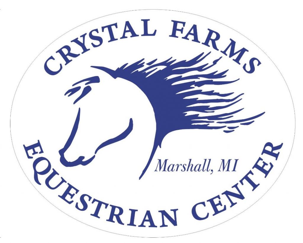 Stallion Auction | Michigan Morgan Futurity